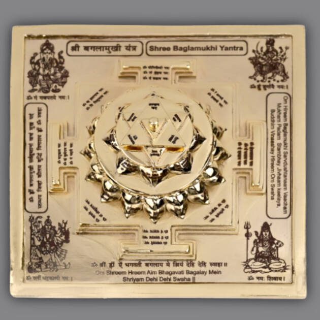 Elevate Your Space With The Potent Maha Siddh Meru Baglamukhi Yantra ...